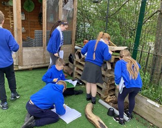 Latest news | Browney Academy